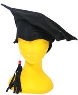 Doctoraalmuts / Professorhoed met kwastje Kopen? | Carnavalsland.nl