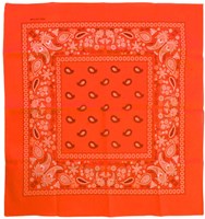 Zakdoek Neon Oranje - 53x53cm Kopen? | Carnavalsland.nl