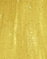 Tule Rokje Goud met Glitter Kopen? | Carnavalsland.nl