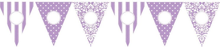 Vlaggenlijn met Stickers Paars Kopen? | Carnavalsland.nl