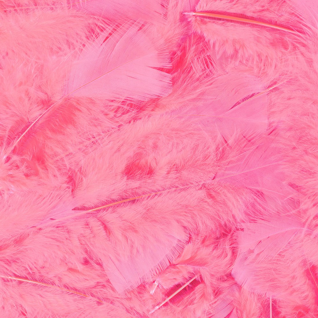 100 Veertjes Roze Kopen? | Carnavalsland.nl