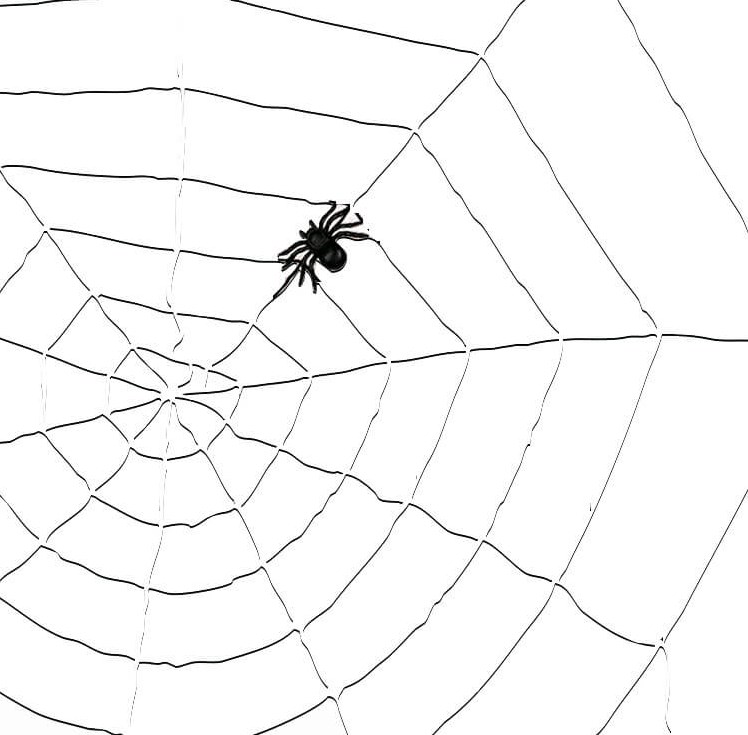 Decoratie Spinnenweb Wit (150cm) Kopen? | Carnavalsland.nl