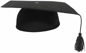 Hoed Vilt Professor Kopen? | Carnavalsland.nl