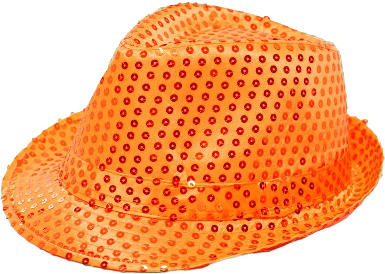 Hoed Disco Pailletten + Licht Oranje Kopen? | Carnavalsland.nl