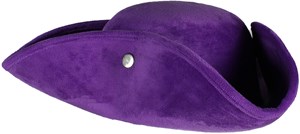 Driesteek Hoed Paars Kopen? | Carnavalsland.nl