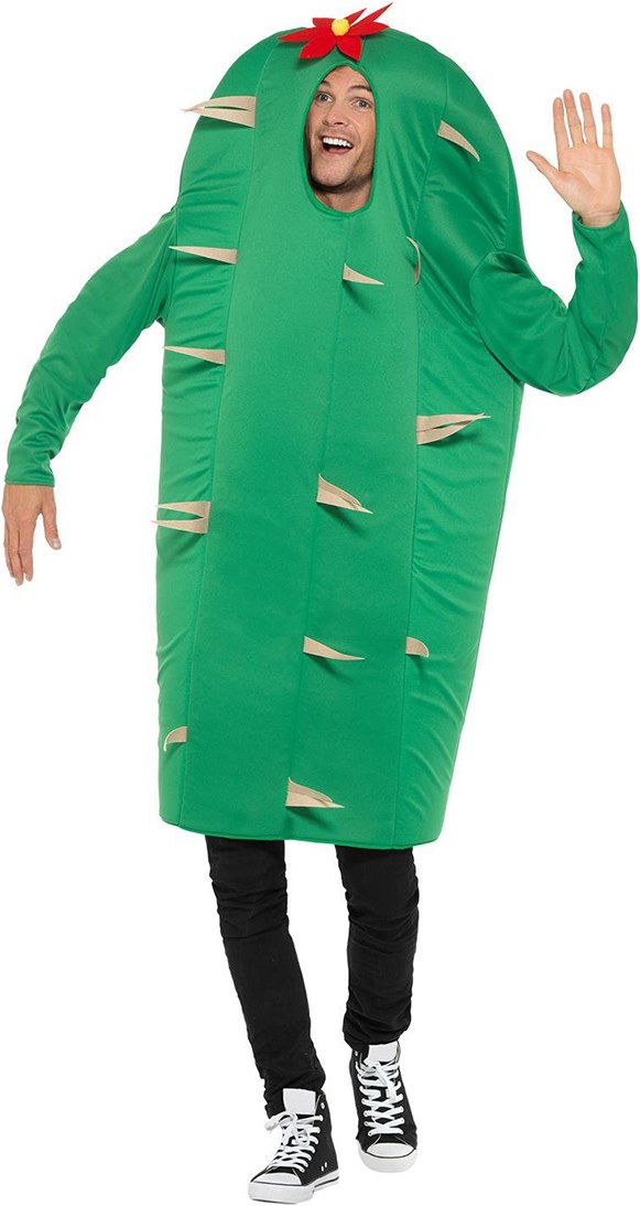 Cactus PaK Kopen? | Carnavalsland.nl