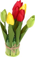 Carnaval Deco Bosje Tulpen Rood-Geel-Groen Kopen?