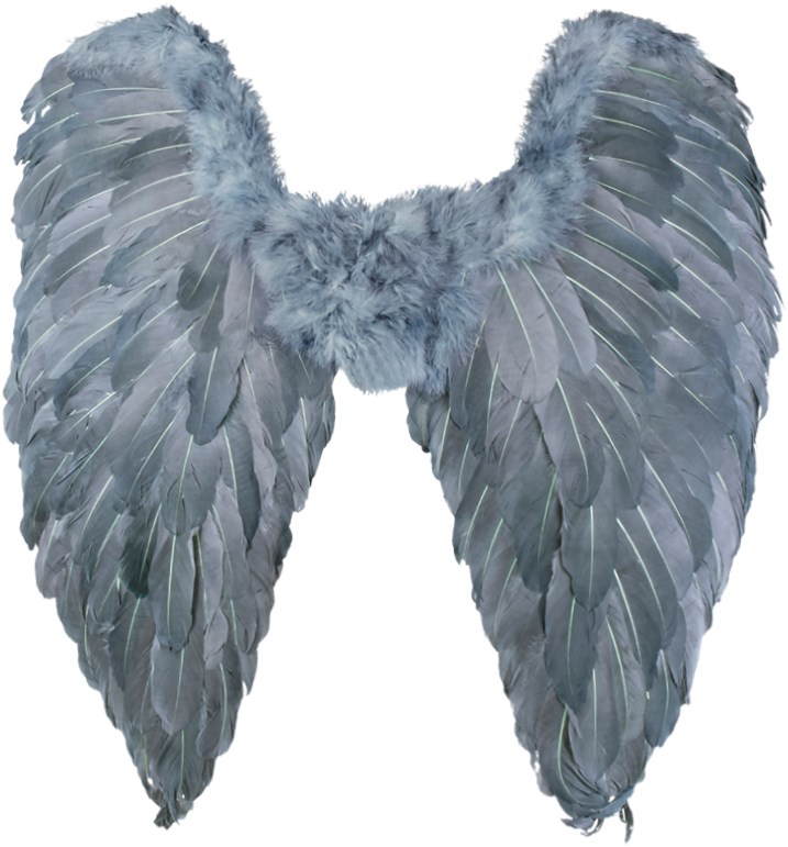 Engelen Vleugels Grijs (65x65cm) | Carnavalsland