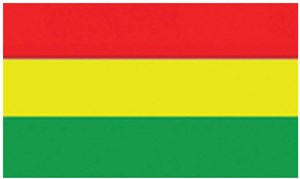 Vlag Rood-Geel-Groen - 90x150cm Kopen? | Carnavalsland.nl
