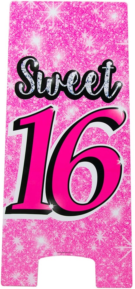 Warning Sign Sweet 16 Kopen? | Carnavalsland.nl
