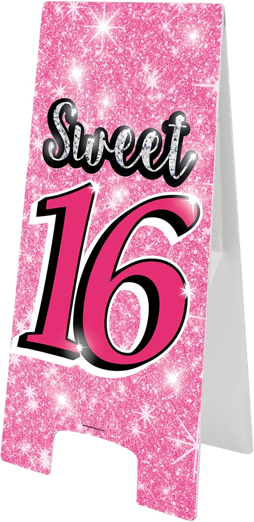 Warning Sign Sweet 16 Kopen? | Carnavalsland.nl