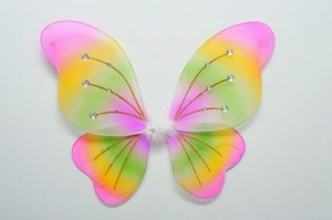 Vleugels Rainbow+Diamanten Kopen? | Carnavalsland.nl