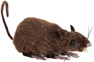 Nep Rat Zittend- 15cm Kopen? | Carnavalsland.nl