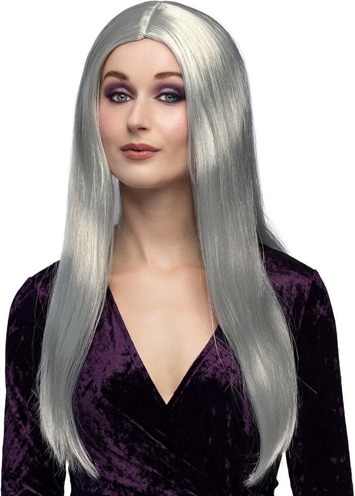Pruik Extra Lang Grijs Kopen? | Carnavalsland.nl
