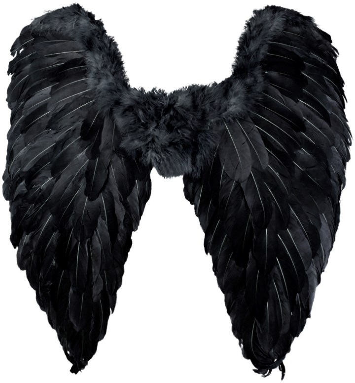 Engelen Vleugels Zwart (65x65cm) Kopen? | Carnavalsland.nl