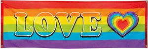 Banner Regenboog Rainbow (74x220cm) Kopen? | Carnavalsland.nl
