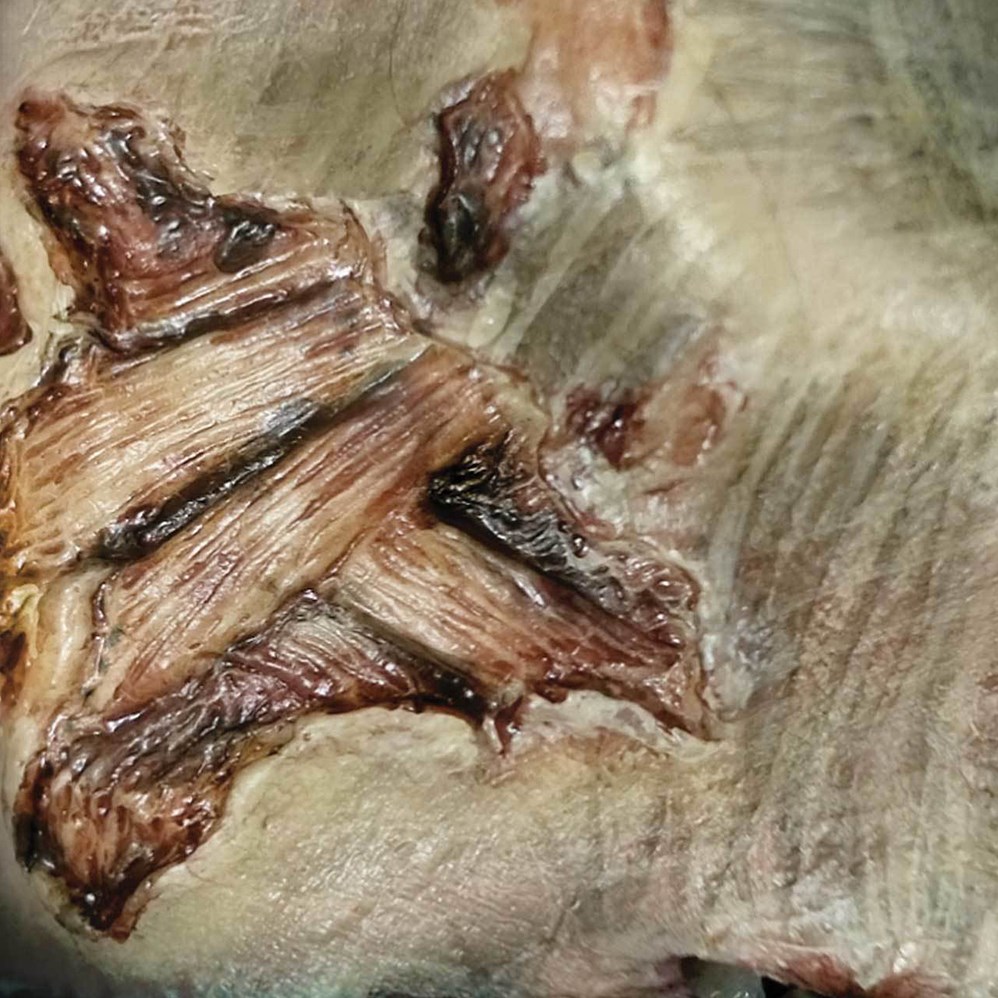 Professionele Wond FX - Zombie Gash Kopen? | Carnavalsland.nl