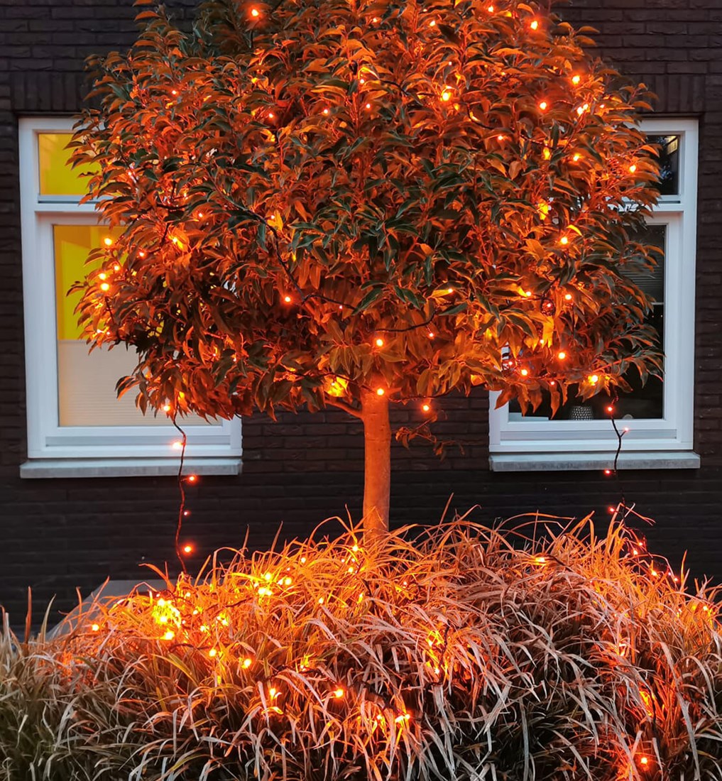 LED-Verlichting Oranje Streng 20m - 200 LEDS Kopen?